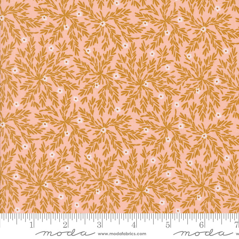 Frivolity – Enchanted Room